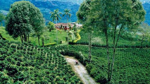 Seasons in Colombia: Weather and Climate