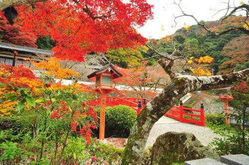 Seasons in China: Weather and Climate