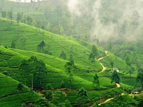 Seasons in China: Weather and Climate