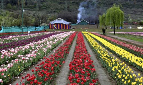Seasons in India: Weather and Climate