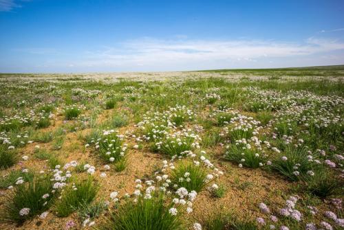Seasons in Mongolia: Weather and Climate