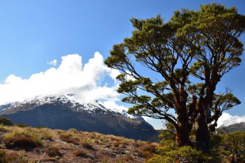 Seasons in New Zealand: Weather and Climate