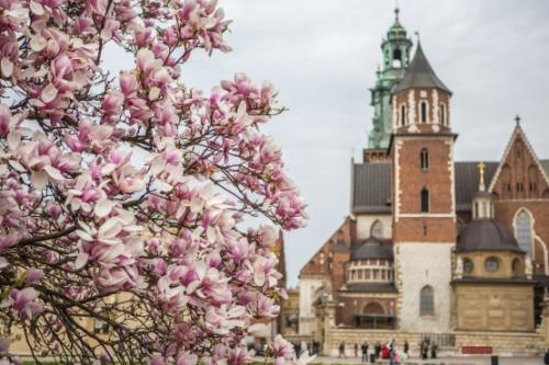 Seasons in Poland: Weather and Climate