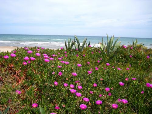 Seasons in Spain: Weather and Climate