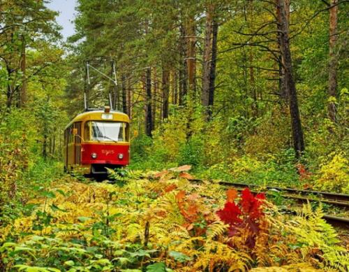 Seasons in Ukraine: Weather and Climate