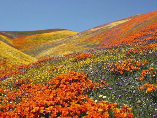 Seasons in Greece: Weather and Climate